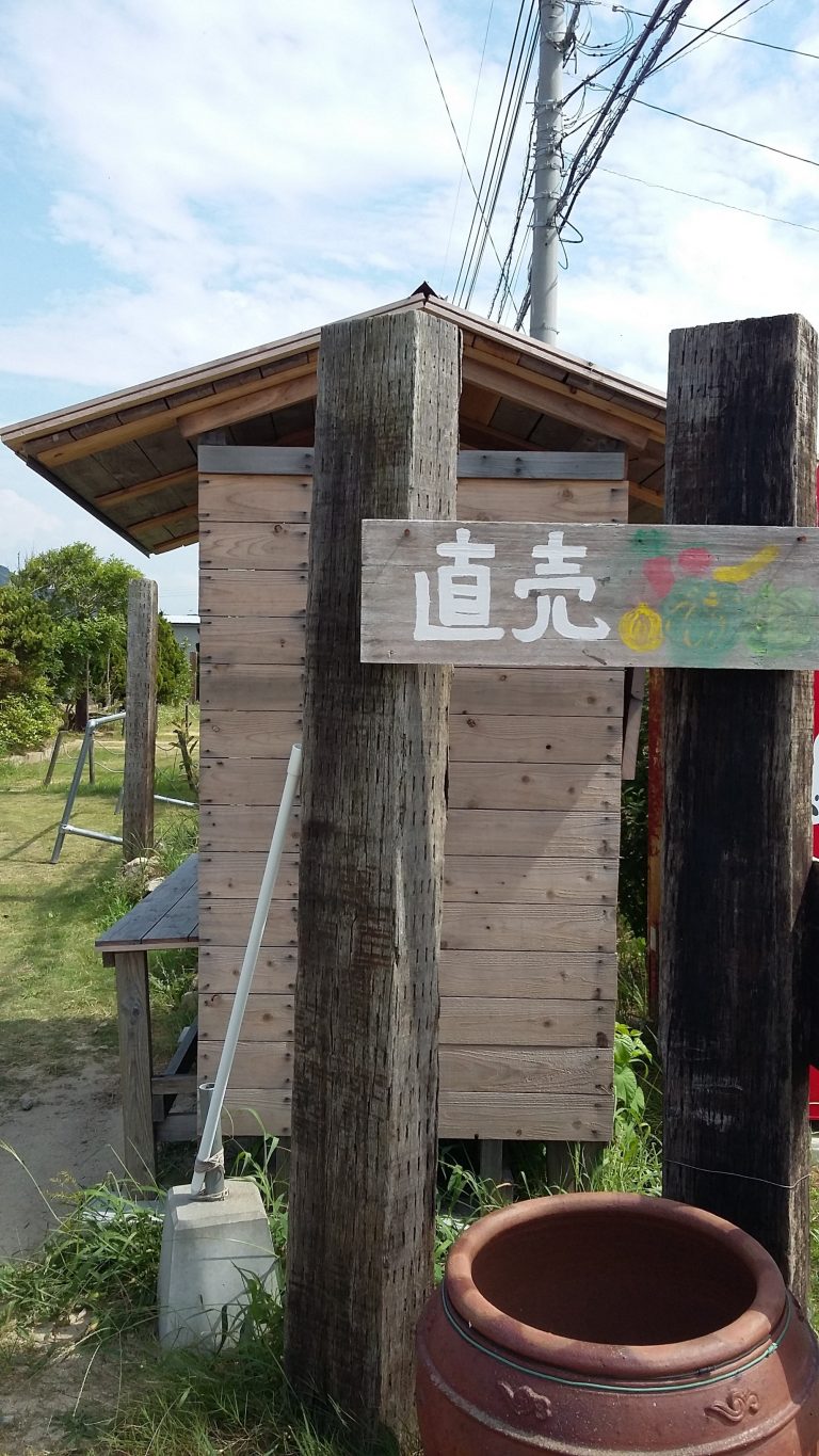 Urban-rural migration and rural revitalization in Japan | Freie ...