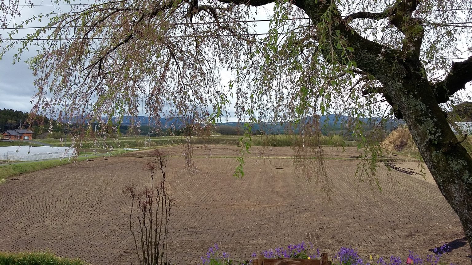 Urban-rural migration and rural revitalization in Japan | Freie ...