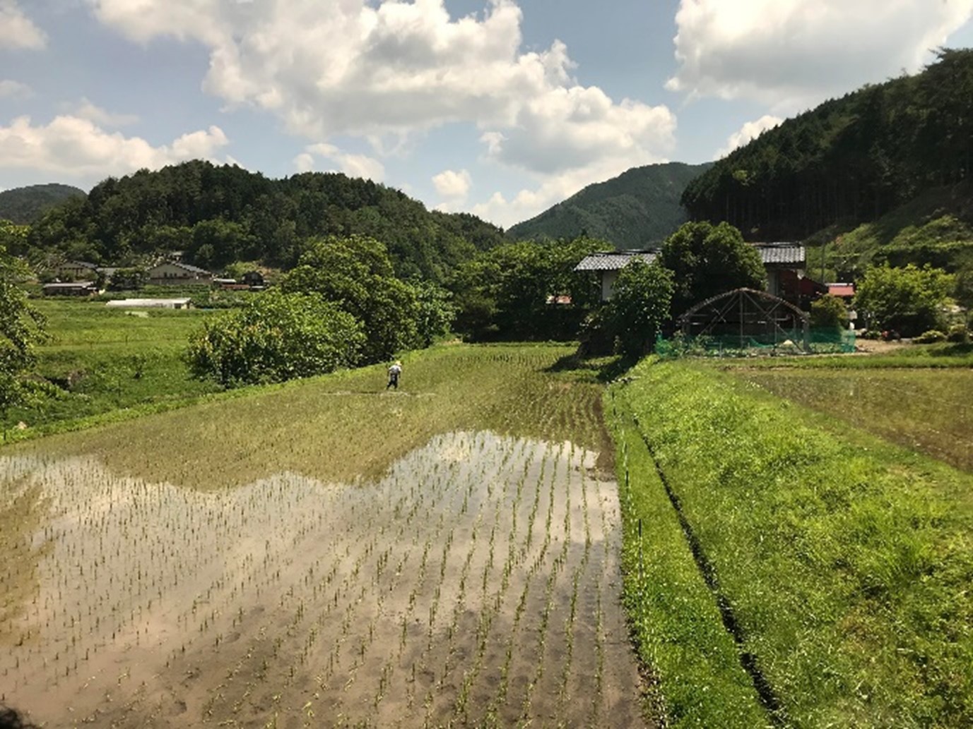 Urban-rural migration and rural revitalization in Japan | Freie ...