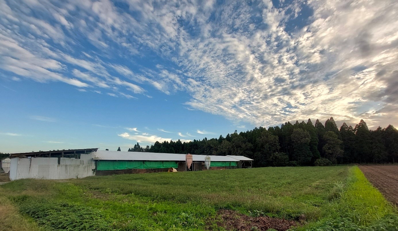Towards a more diverse countryside? Hierarchies among different groups ...