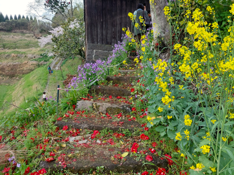 Changing Japan from below: Alternative currency and the Transition Town ...