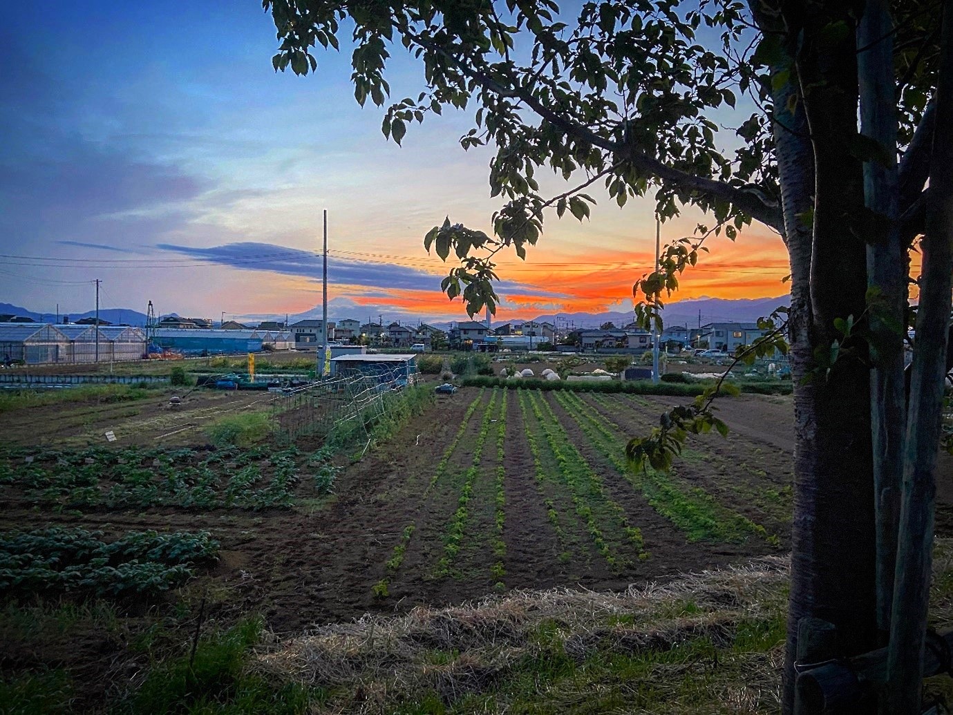 Urban-rural migration and rural revitalization in Japan | Freie ...